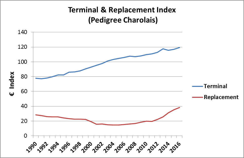 Terminal and Replacement Index – Irish Charolais Cattle Society