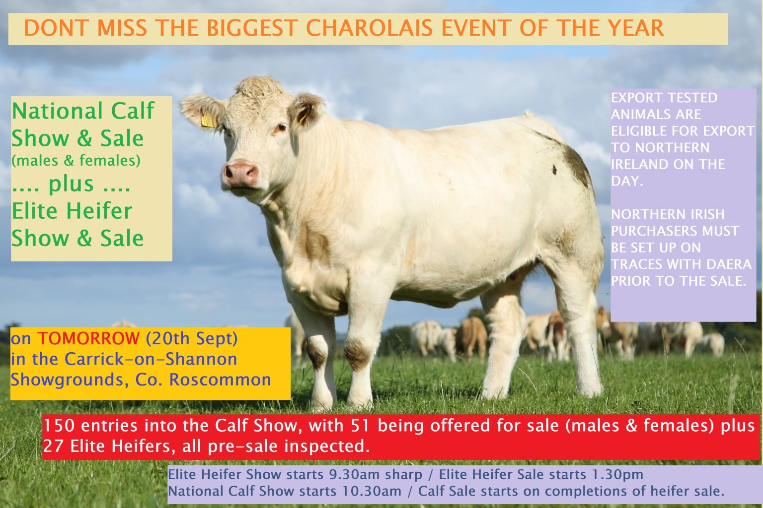 DON’T MISS THE BIGGEST CHAROLAIS EVENT OF THE YEAR – Irish Charolais ...